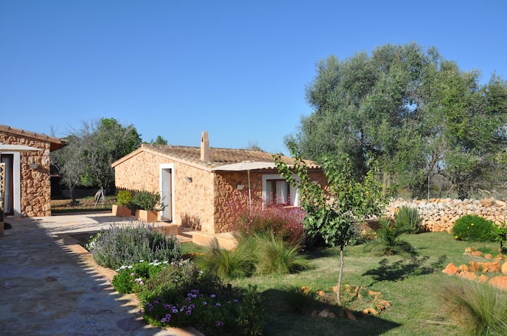 Apartamento Agroturismo Can Porretì-galliner - Majorque