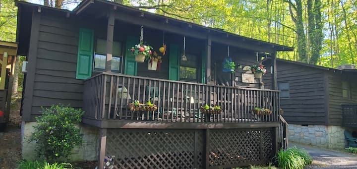 Cozy Cabin 79 Sassafras Lane: 2 Br, 1 Ba Cabin / Bungalow In Maggie Valley, Sleeps 4 - Sylva, NC