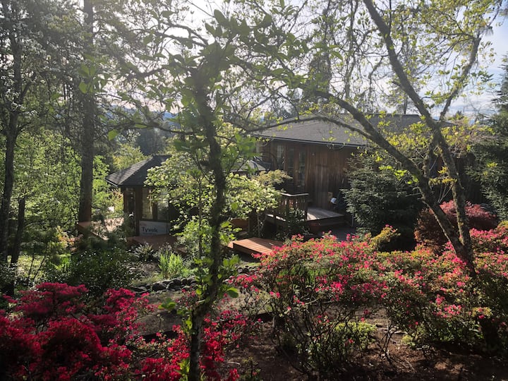 Swiss Family Treehouse - Eugene, OR