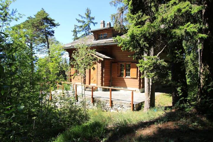 Chalet De Montagne - Alpes Suisses - Crans-Montana