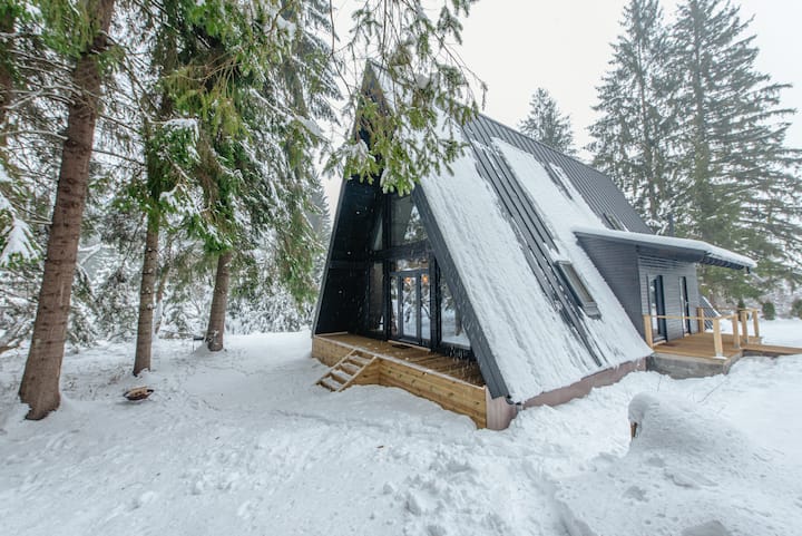 Black Raven Cabin - Topliţa
