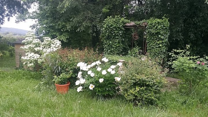 Maison En Pierres A La Campagne - Valensole