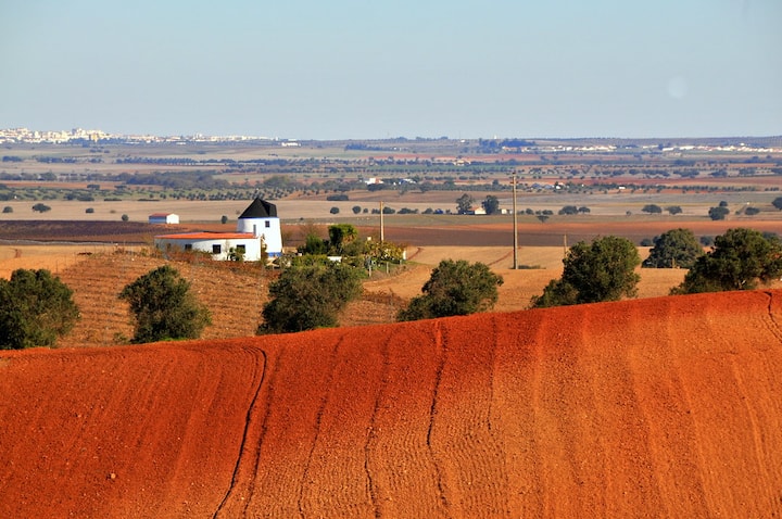 Traditional House - Aljustrel