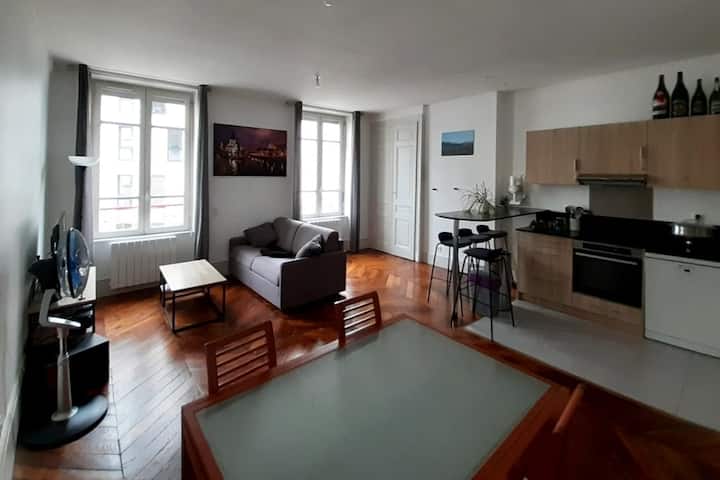Appartement 2 Pièces 50m² Dans Immeuble Ancien - Lyon
