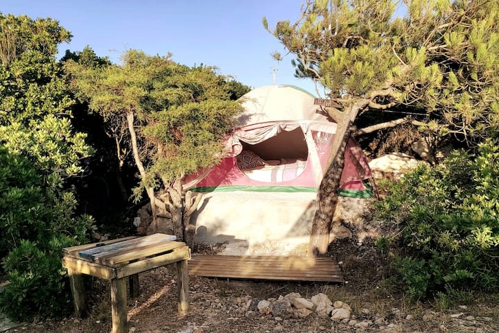 Tents In Atlantic Eden: The Nature Reserve. - Torres Vedras