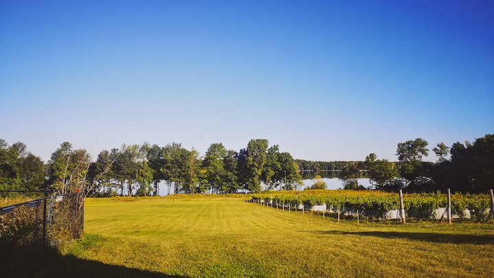 Vineyard View Lakeside Cottage @ Longrid Winery - Prince Edward