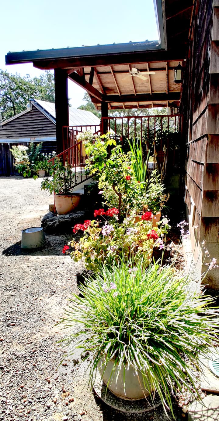 Healdsburg Home  With Magnificent Vineyard View - Geyserville, CA