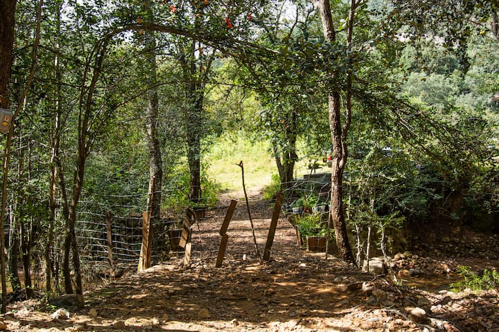 El Jardín De Los Tejocotes - Guanajuato