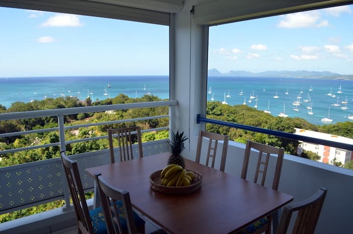 Chaleureux T2 Avec Magnifique Vue Mer Et Piscine - Martinica
