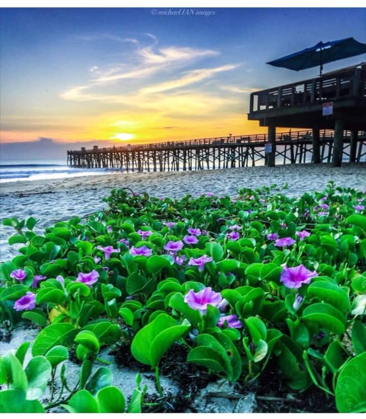 Sunshine Daydream In The Heart Of Flagler Beach. - Flagler Beach, FL