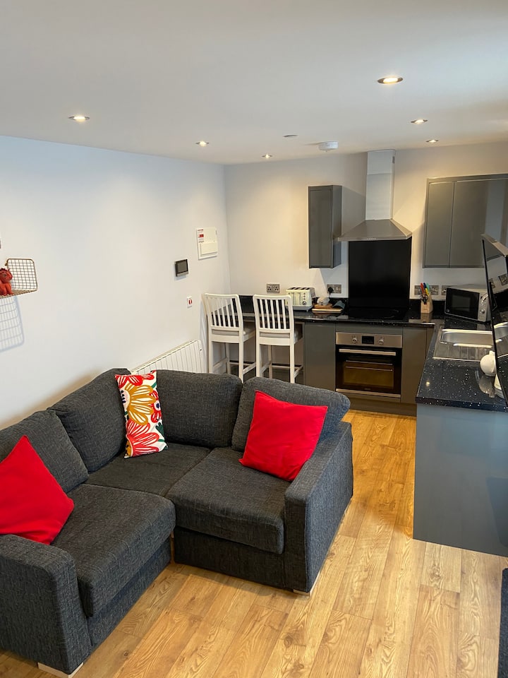 Entire Flat Central Aberystwyth Location - Aberystwyth