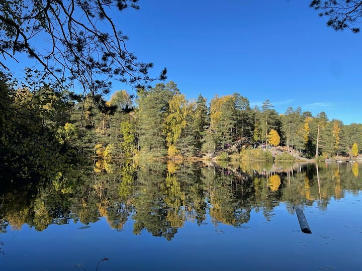 Studio Flat In Charming Area - Oslo