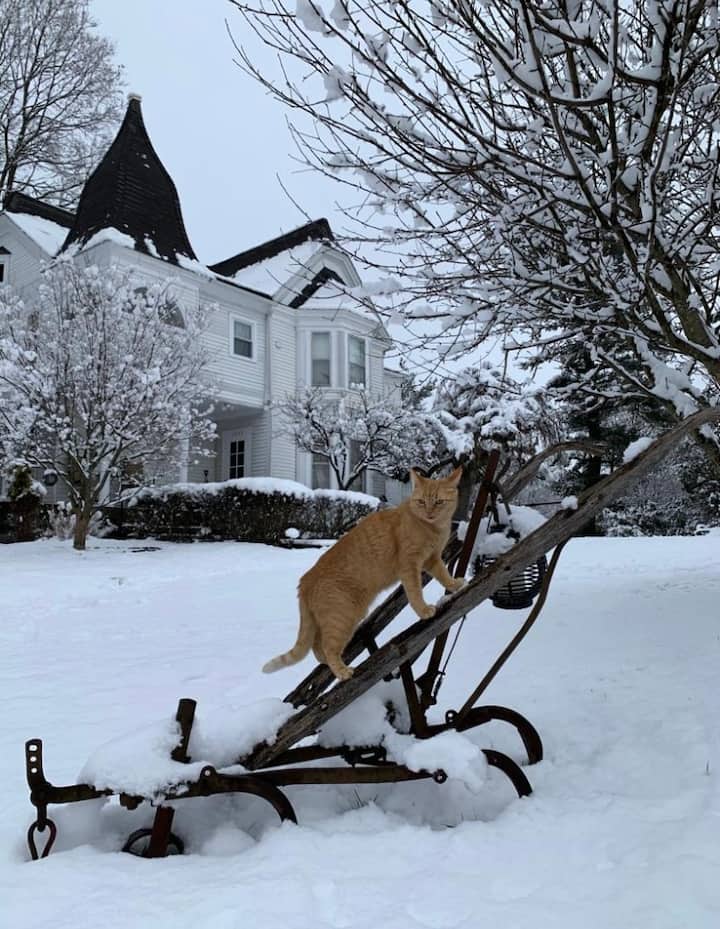 Millbrook Village - Merritt Suite - In The Village - Millbrook, NY