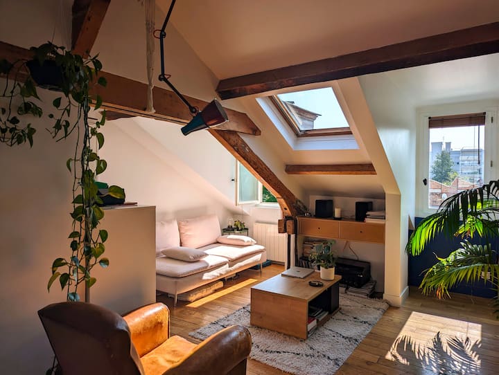 Appartement Sous Les Toits - Montreuil, France