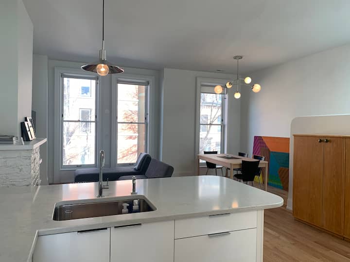 New Luxury Old Town 1-bedroom Condo - Chicago, IL