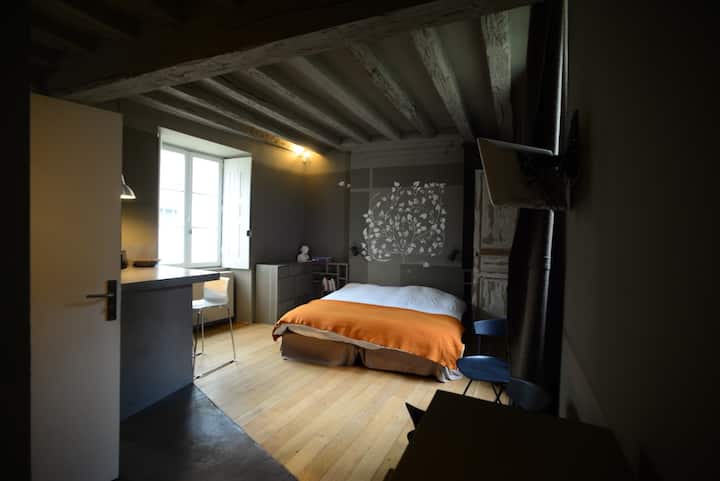 Maison Du Corbelier De Belligan - Grande Chambre - Angers