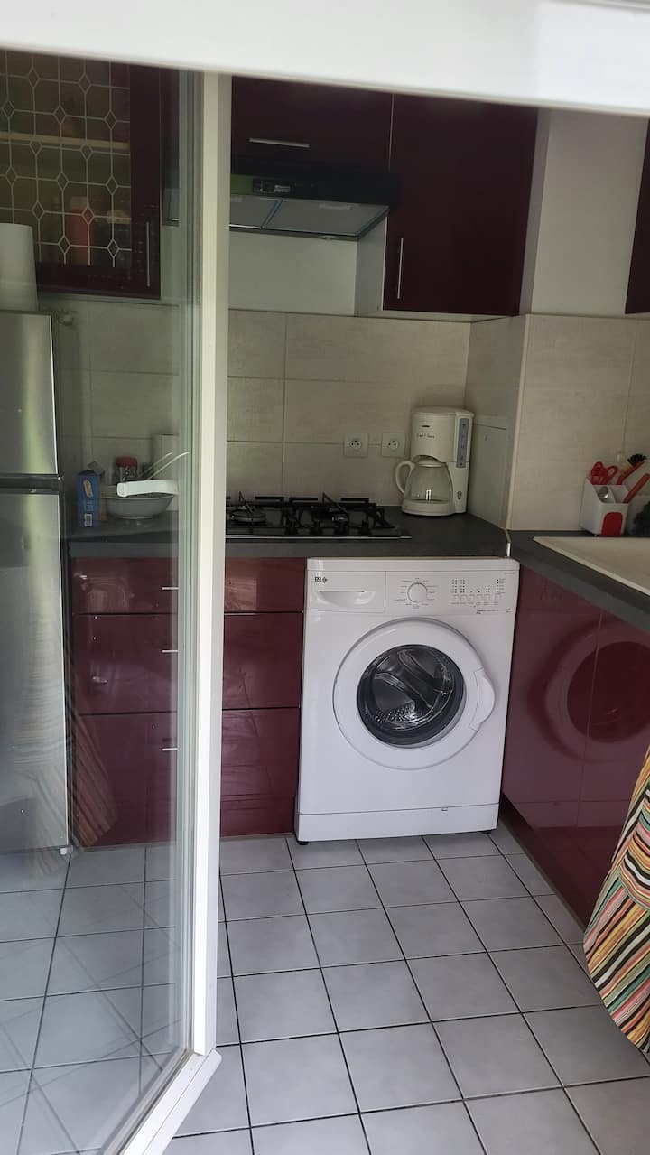 Belle Appartement Suresnes - Suresnes