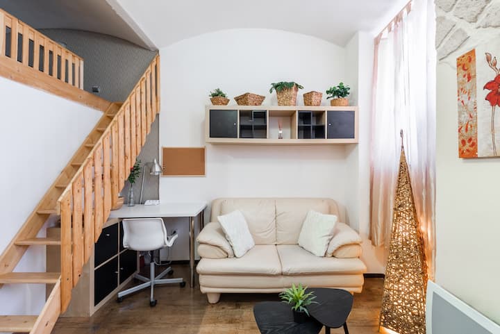 Homy & Fully Equipped Studio, Wi-fi/netflix/guides - Prague