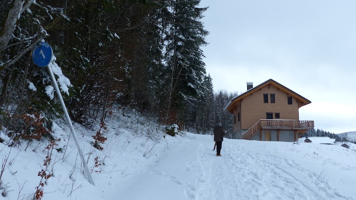 Mijoux Chalet  Isolé, 5mm Du Centre Village A Pied - Gex