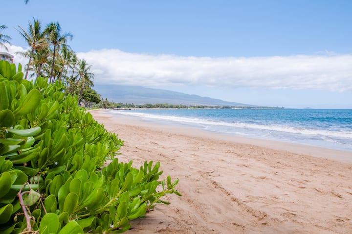 Beach Front Complex On The Sand - Gorgeous Condo! - Maui