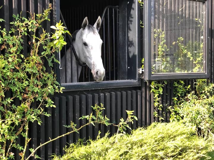 Grand Loft Avec Jardin Et Terrasse Dans Ranch ! - Conflans-Sainte-Honorine