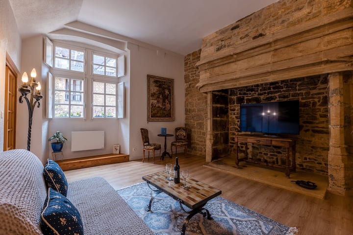 Le Lys Bleu - Apt. Spacieux En Centre Ville. - Sarlat-la-Canéda