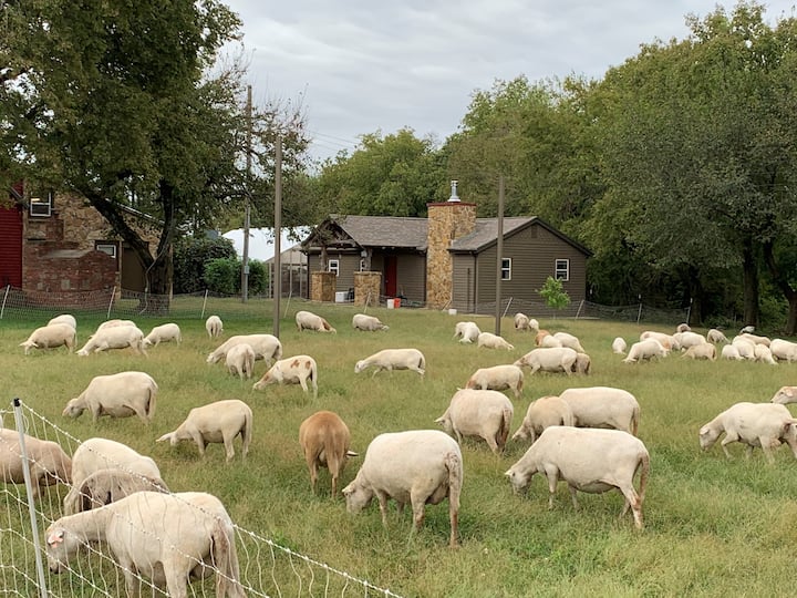 Top 10 Ranches To Stay In Kansas, USA - Updated 2024 | Trip101