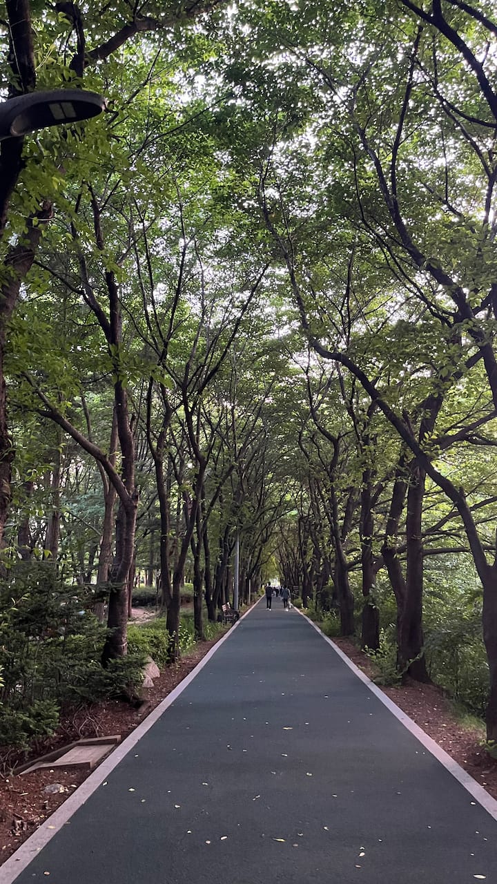 Branew Apartment At Southern Center Of Gangnam - South Korea