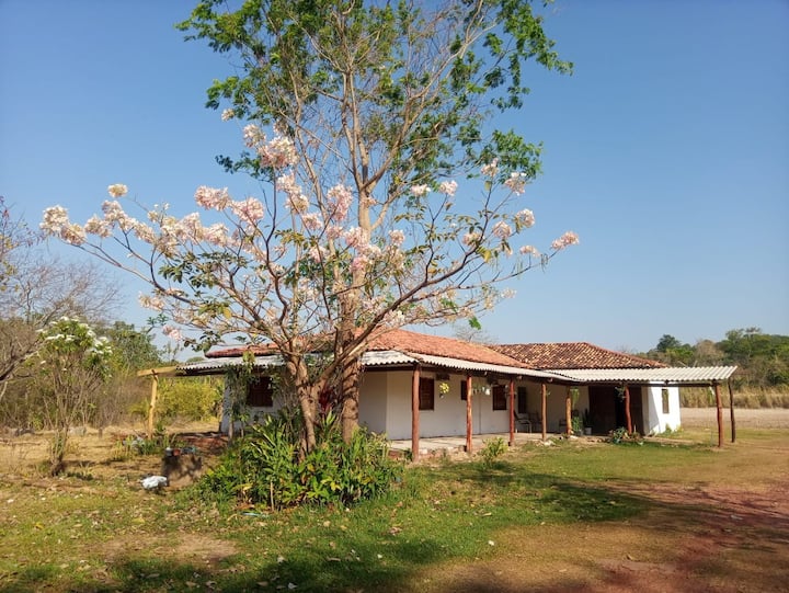 Chácara Cabana Dos Lagos: Natureza E Coracão - Balsas
