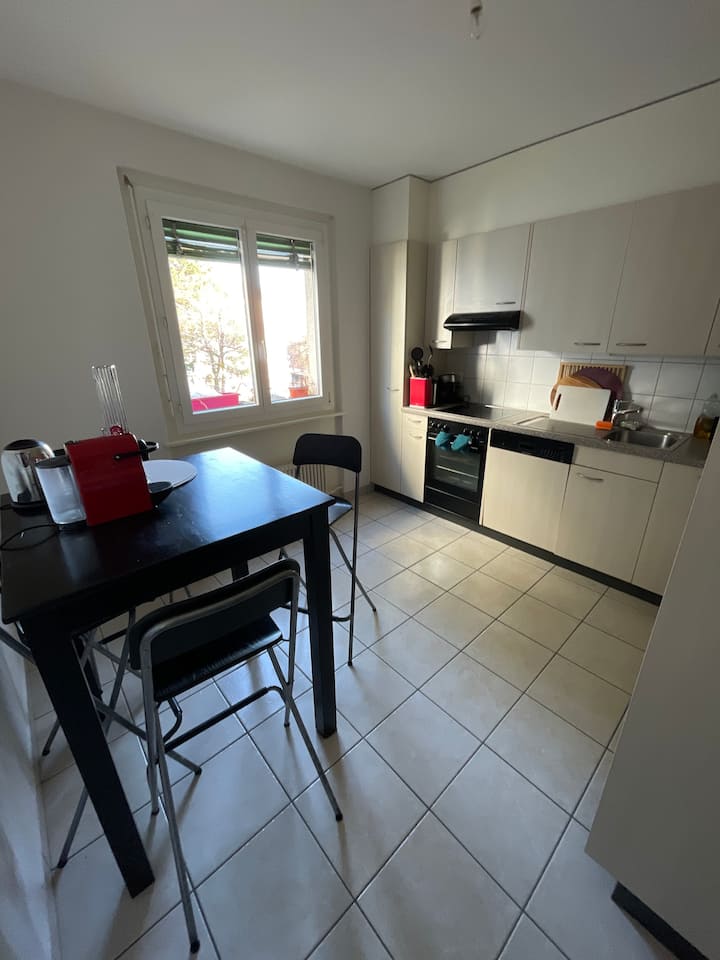 3,5 Pièces Bien Situé - Friburgo