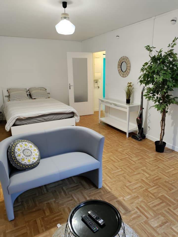 Appartement Spacieux Proche Des Transports (221) - Ruan