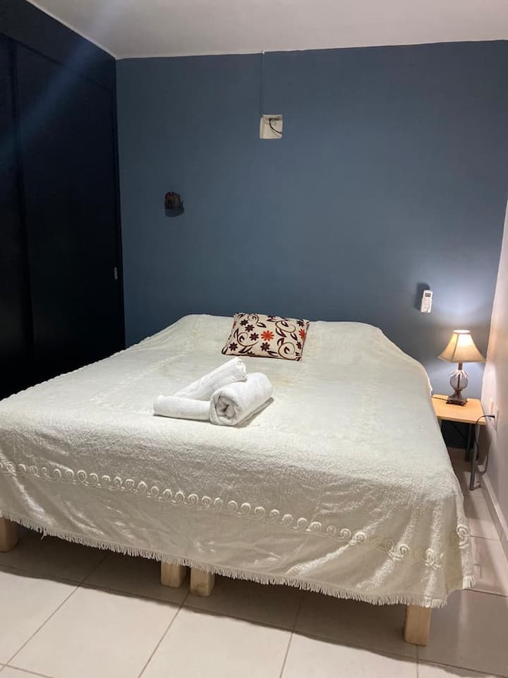 Paz Y Comodidad En Un Departamento. - Tampico