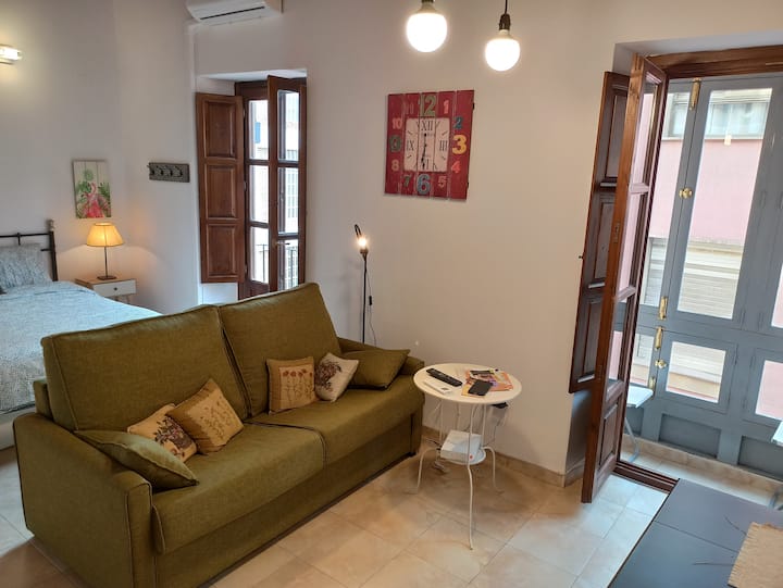 Elvira Apartamento Centro/albaicín - Cenes de la Vega
