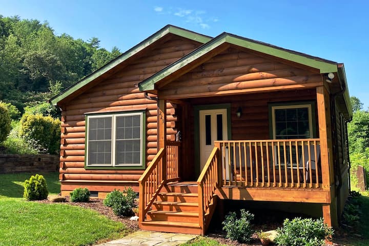 Mountain Cabin Near Downtown Asheville - Asheville, NC