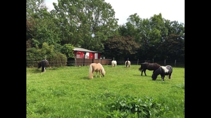 Wintershof In Kellenhusen -  "Uns Lütt Hus" - Kellenhusen
