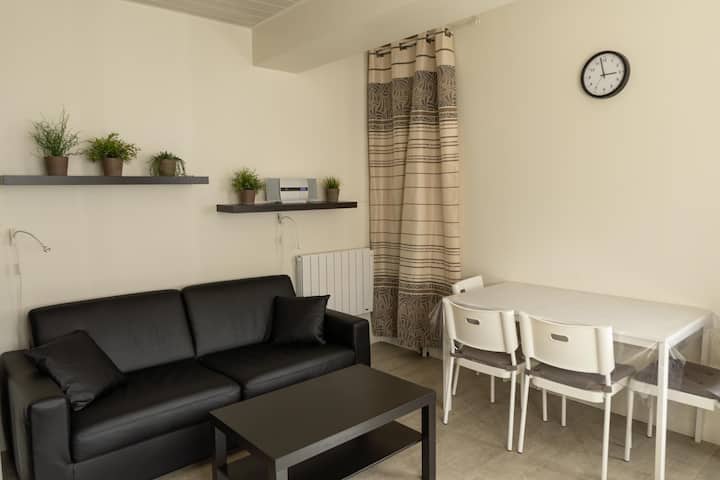 Appartement Mont Dore Face Aux Thermes - Centre - Le Mont-Dore