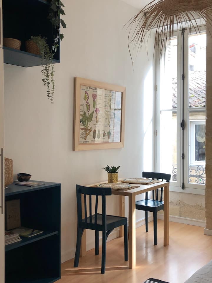 Bordeaux : Studio Charmant Et Cosy à Saint-michel - Cénac