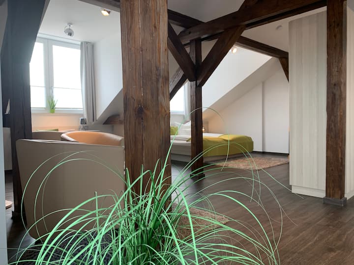 Best Business Bühl - Boardinghouse.e201 - Baden-Baden