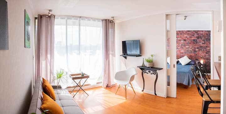 Moderno Depto C/ac, Terraza - Providencia