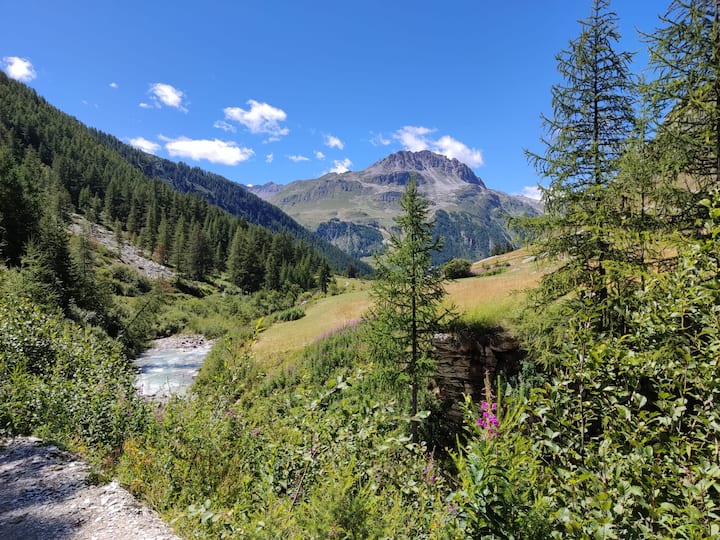 Petite Marmotte, Le Refuge Du Montagnard, Arc 1950 - La Rosière