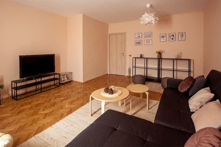 Super Spacious Apartment - City Center - Filibe