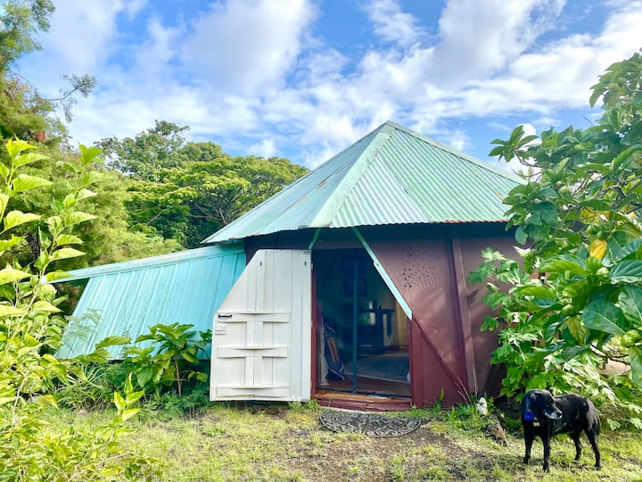 Welcome To The Starpod - Hawaï