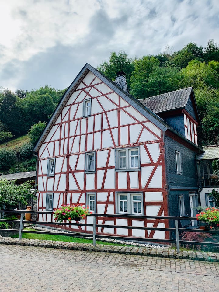 Fewo "Zum Pälzer" Mittelrheintal Nähe Bacharach - Bacharach