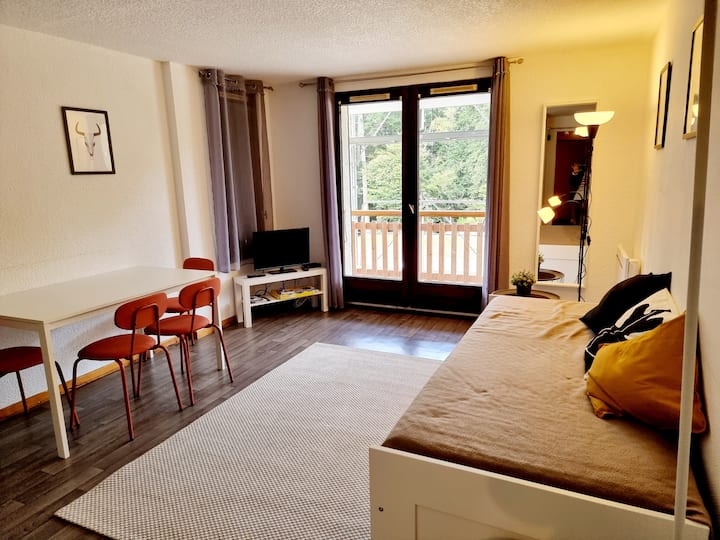Appartement Bonascre Au Pied Des Pistes - Ax-les-Thermes