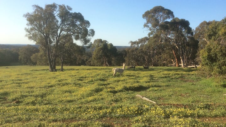 10 Handpicked Airbnb Vacation Rentals In Bullsbrook, Australia ...