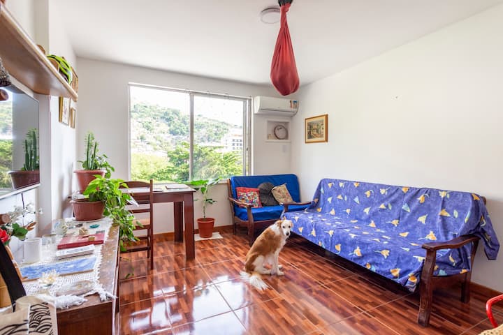 Quarto Com Banheiro Privativo Em Apartamento - Niterói