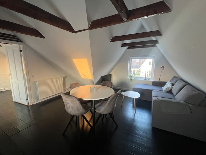 Charmerende Lejlighed I Centrum - Odense