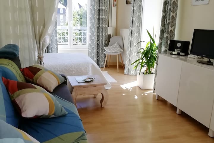 Studio** :  Séjourner  Au Cœur Du Massif Du Sancy - La Bourboule