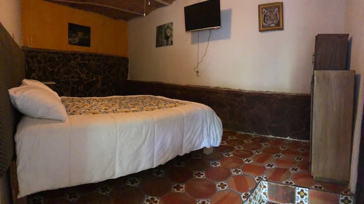 La Numero 1 En "La Casa De Los Mangos " - Ajijic