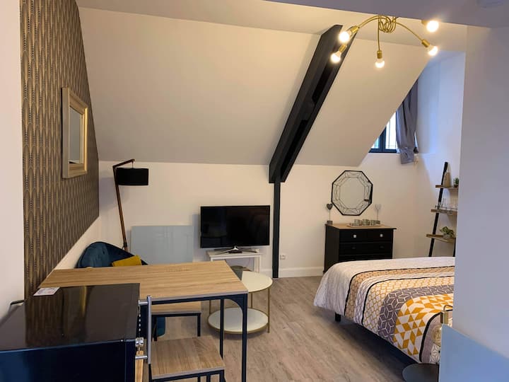 Joli Studio Hyper Centre Proche Des Quais - Auxerre